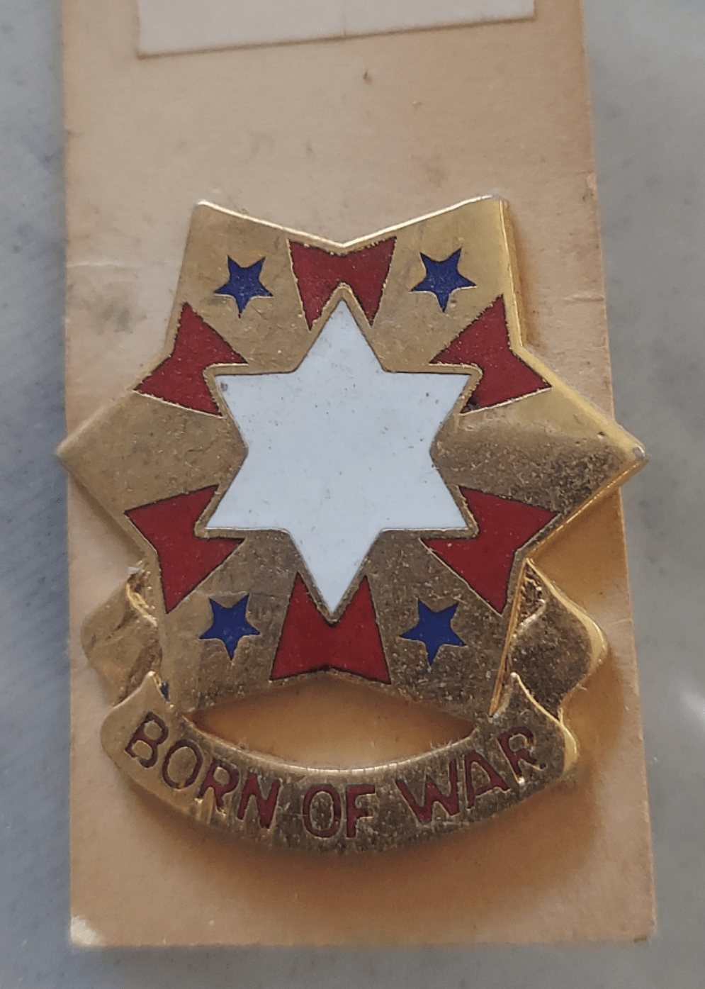 6th US Army Unit Crest "Born of War" pin – The Command Bunker